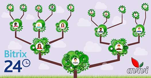 Avivi's custom MLM structure component for Bitrix24
