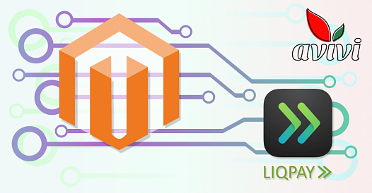 Solving the problem of Internet-Acquiring for an online store on Magento 2 and the LiqPay ...